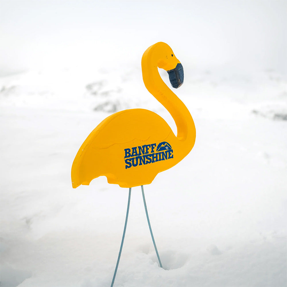 Home & Gift – Shop Banff Sunshine